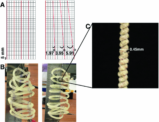 Elastomeric Spring Actuator Using Nylon Wires | SpringerLink