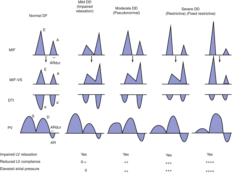 Full Schematic Echocardiographic Formulas and Points | SpringerLink
