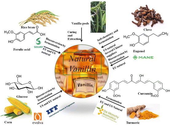 Vanilla: The Most Popular Flavour | SpringerLink