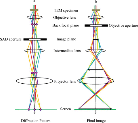 Advanced Electron Microscopy Techniques Toward the Understanding of ...