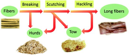 Retting Process as a Pretreatment of Natural Fibers for the Development ...