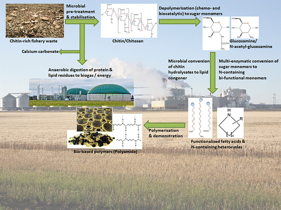 ChiBio: An Integrated Bio-refinery for Processing Chitin-Rich Bio-waste ...