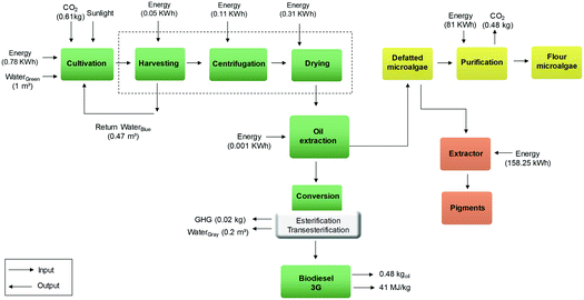 Life Cycle Assessment of Biofuels from Microalgae | SpringerLink