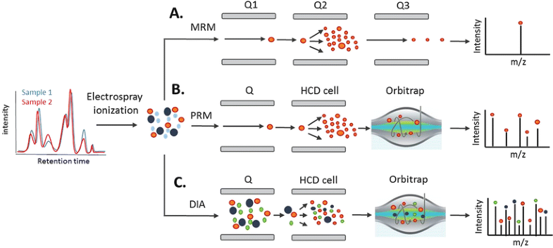 Gel-Free Proteomics | SpringerLink