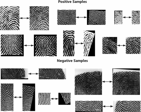Partial Fingerprint Matching via Phase-Only Correlation and Deep Convolutional Neural Network ...