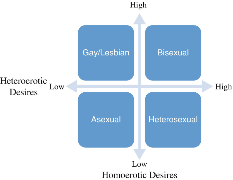 2 Models And Measures Of Sexual Orientation Springerlink