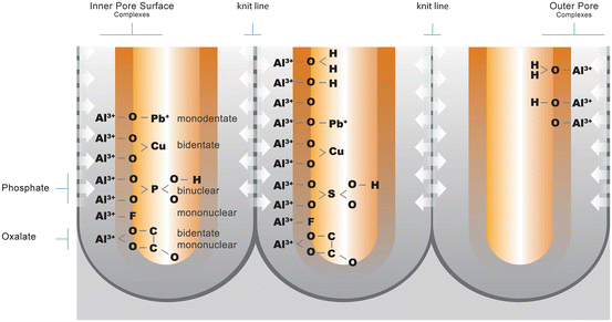 Anodic Aluminum Oxide Growth and Structure | SpringerLink