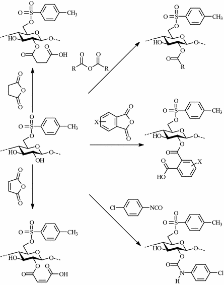 Cellulose Esters | SpringerLink