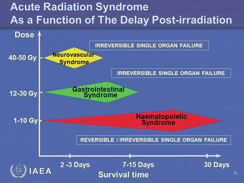 Acute Radiation Sickness | SpringerLink