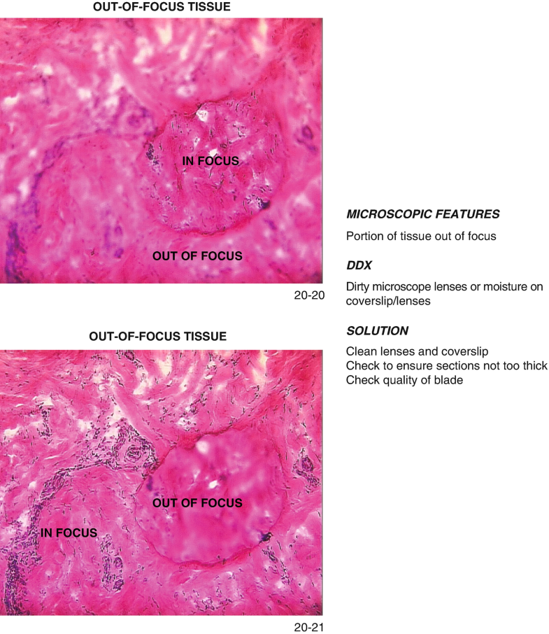 Histotechnique and Staining Troubleshooting | SpringerLink