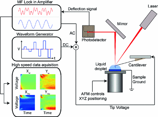 Applications of KPFM-Based Approaches for Surface Potential and ...