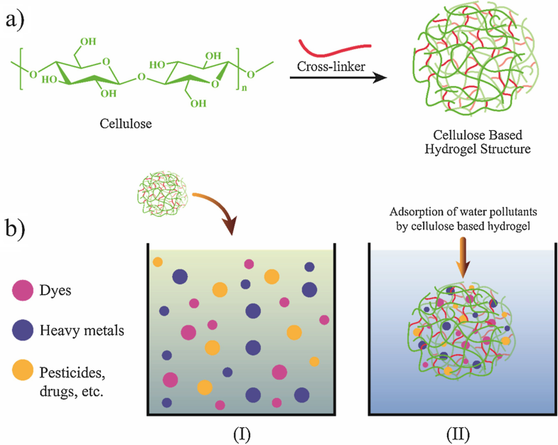 Cellulose-Based Hydrogels for Water Treatment | SpringerLink