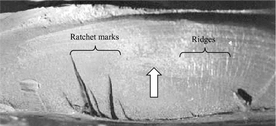 Elements of Fractography | SpringerLink