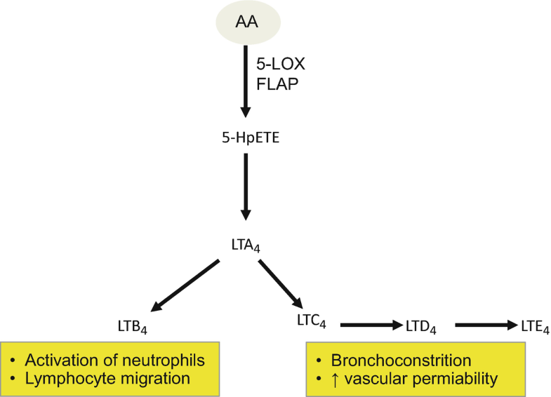Mediators of Inflammation | SpringerLink