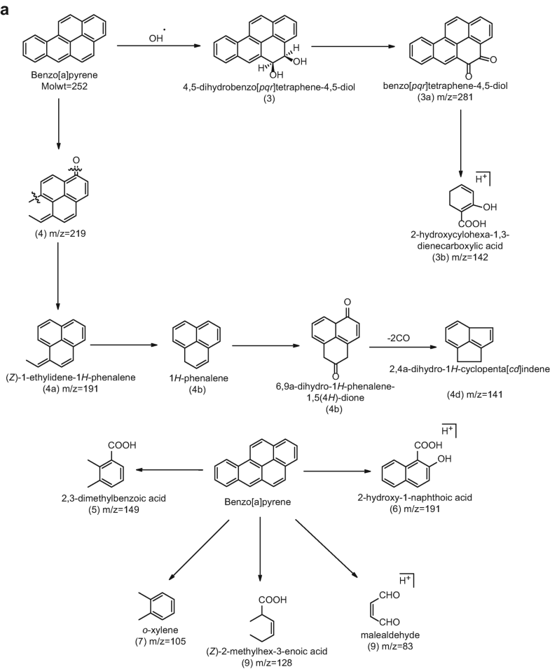 Remediation of Polycyclic Aromatic Hydrocarbons Using Nanomaterials ...
