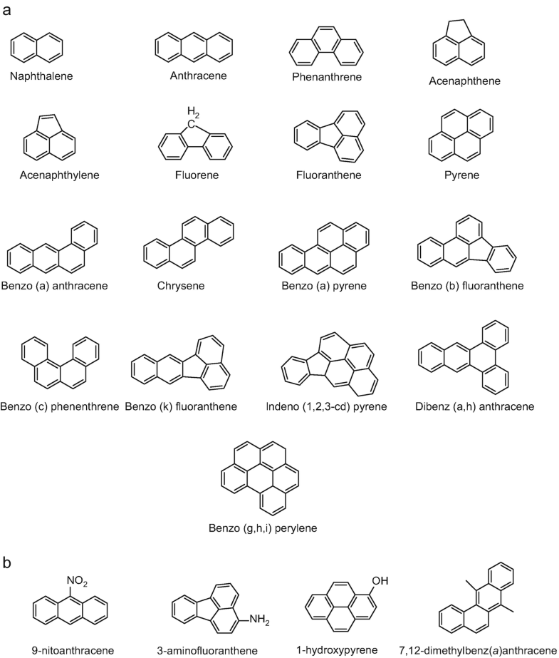 Remediation of Polycyclic Aromatic Hydrocarbons Using Nanomaterials ...