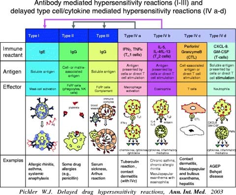 Drug Hypersensitivity Reactions Involving Skin | SpringerLink