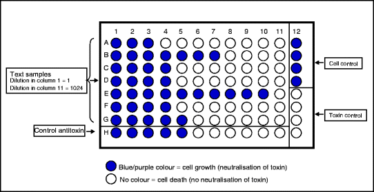 Neutralization Tests | SpringerLink