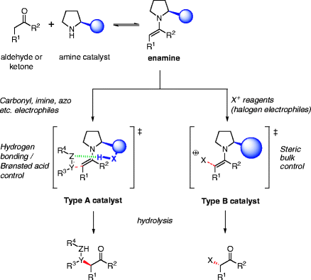 Enamine Catalysis | SpringerLink