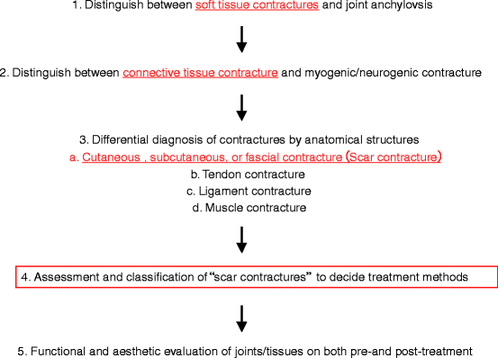 Diagnosis, Assessment, and Classification of Scar Contractures ...