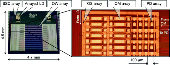 Silicon Optical Interposers for High-Density Optical Interconnects ...