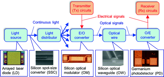Silicon Optical Interposers for High-Density Optical Interconnects ...