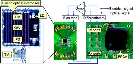 Silicon Optical Interposers for High-Density Optical Interconnects ...