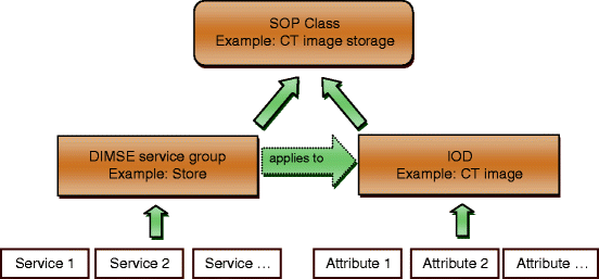 DICOM SOPs: Basic | SpringerLink