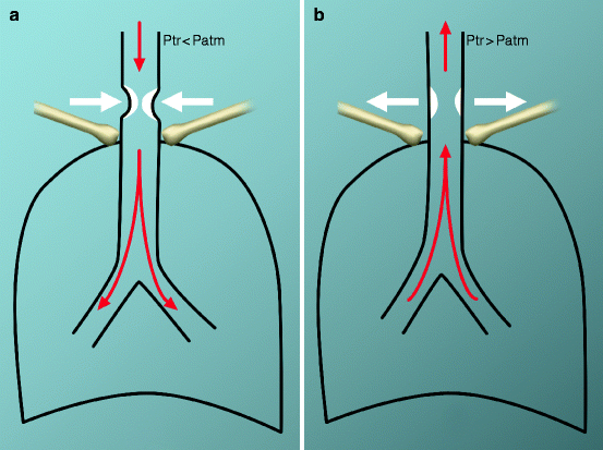 Clinical Evaluation of Airway Obstruction | SpringerLink
