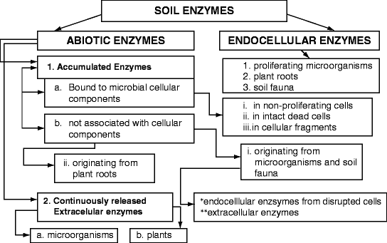 Soil Enzymes as Indication of Soil Quality | SpringerLink