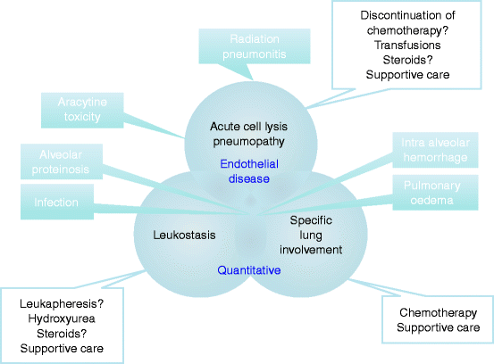 Leukostasis, Infiltration and Pulmonary Lysis Syndrome Are the Three ...
