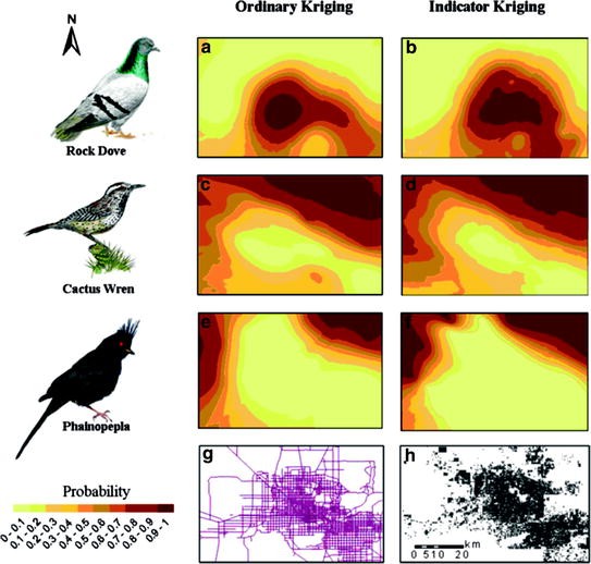 Biodiversity on the Urban Landscape | SpringerLink
