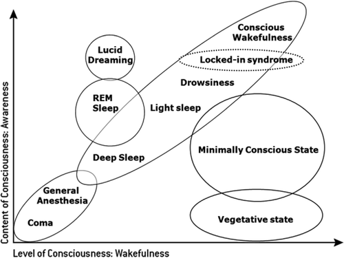 Disorders of Consciousness: Coma, Vegetative and Minimally Conscious ...