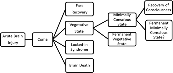 Disorders of Consciousness: Coma, Vegetative and Minimally Conscious ...