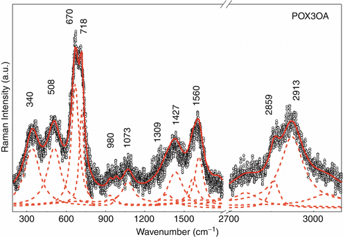 Raman Spectroscopy of Iron Oxide Nanoparticles | SpringerLink