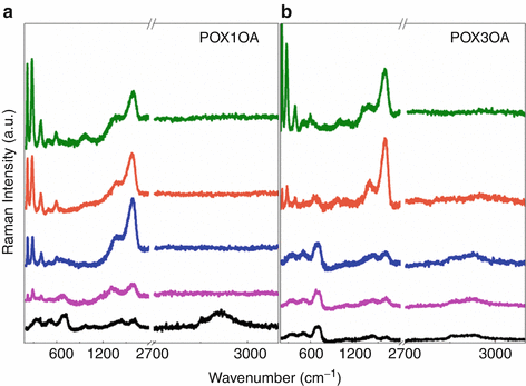 Raman Spectroscopy of Iron Oxide Nanoparticles | SpringerLink