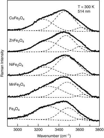 Raman Spectroscopy of Iron Oxide Nanoparticles | SpringerLink