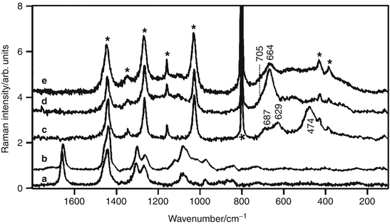 Raman Spectroscopy of Iron Oxide Nanoparticles | SpringerLink