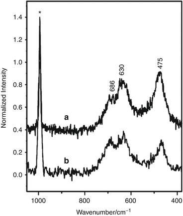 Raman Spectroscopy of Iron Oxide Nanoparticles | SpringerLink