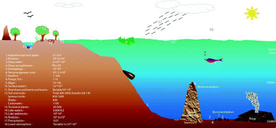 Manganese Oxidation by Bacteria: Biogeochemical Aspects | SpringerLink