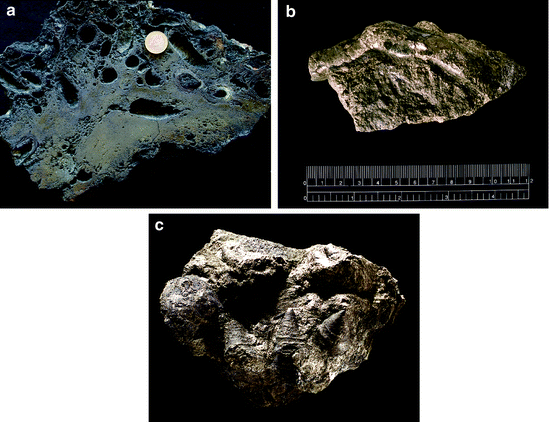 Hydrothermal Deposits | SpringerLink