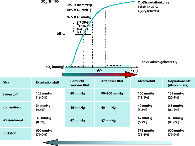 Respiratorische Insuffizienz und Beatmung | SpringerLink
