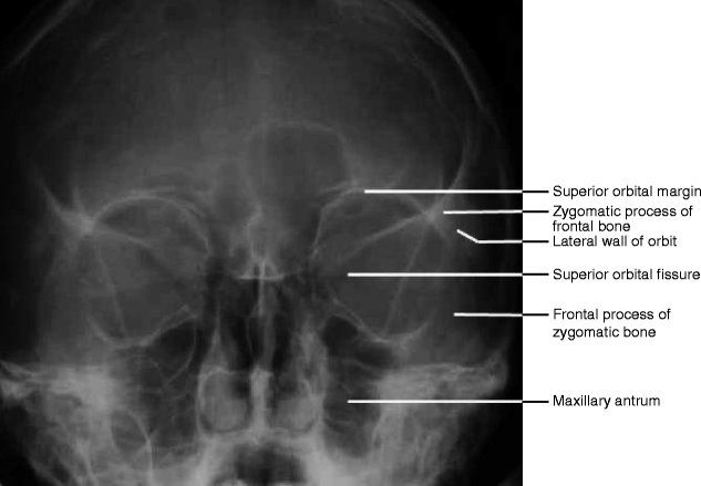 The Orbit | SpringerLink