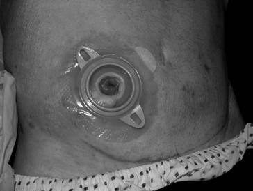 Urologie | SpringerLink