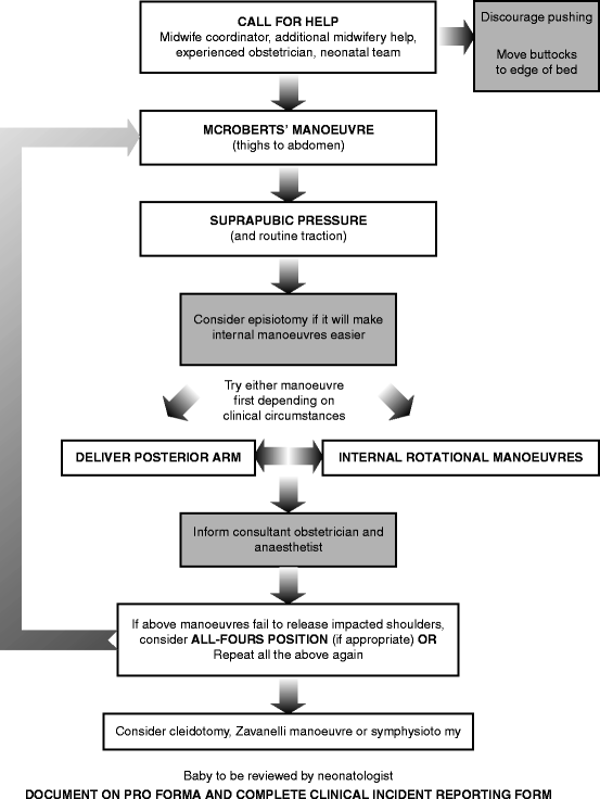 Shoulder Dystocia in Maternal Obesity | SpringerLink