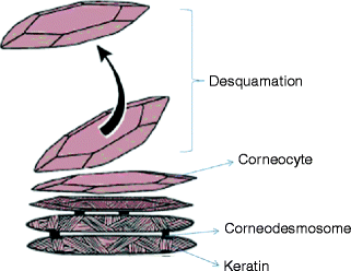 Emollient Therapy and Skin Barrier Function | SpringerLink