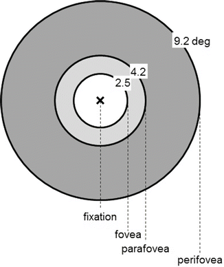 Parafovea | SpringerLink