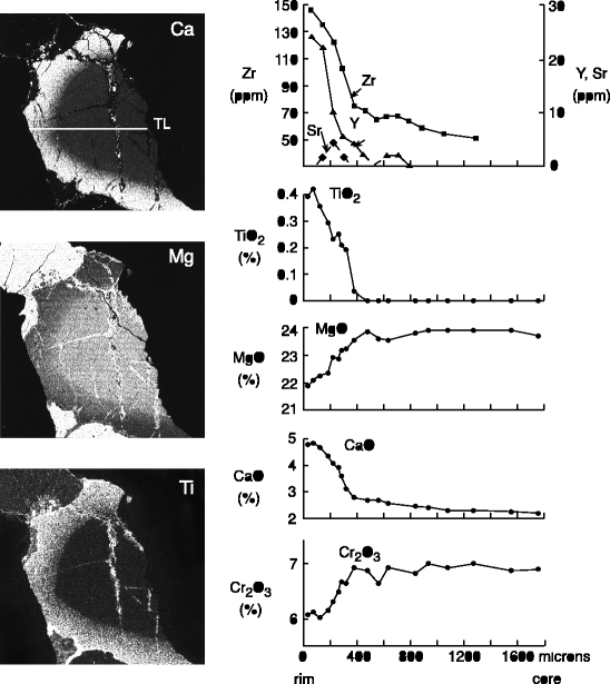 Mantle Metasomatism | SpringerLink