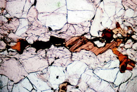 Mantle Metasomatism | SpringerLink