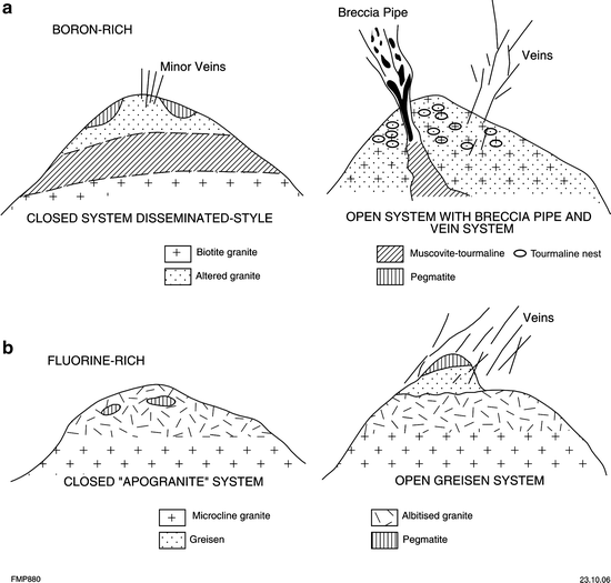 Effects of Metasomatism on Mineral Systems and Their Host Rocks: Alkali ...
